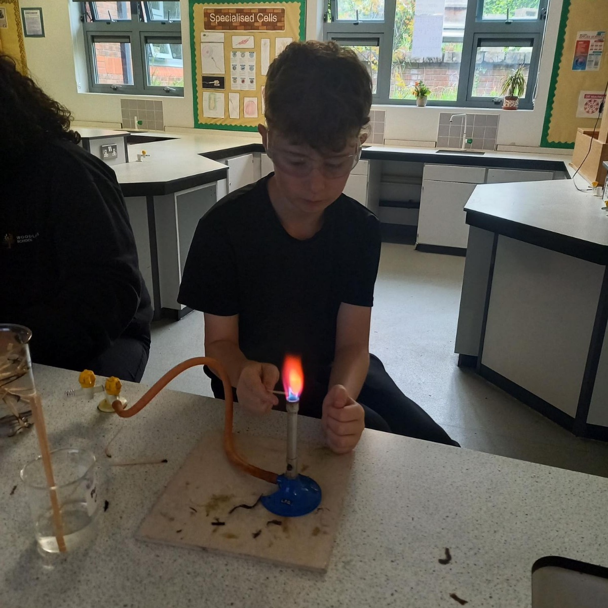 Woodlands School - Newsletter 17th May 2024